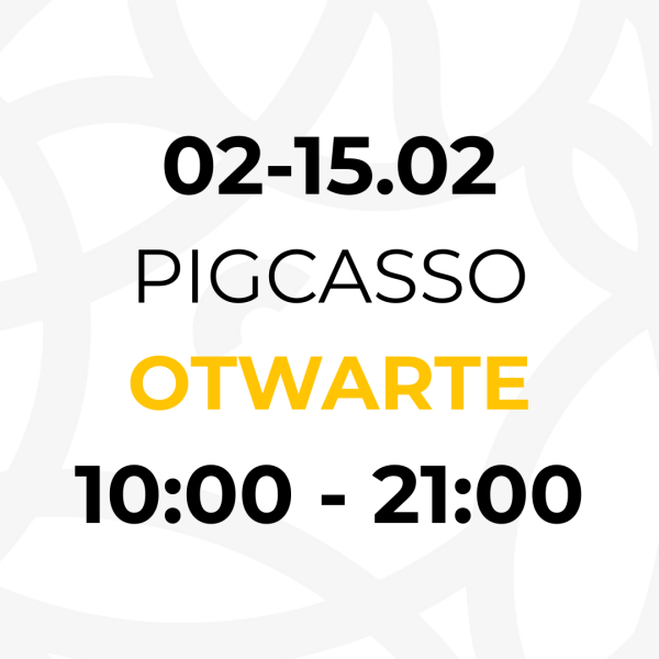 Kraków - Pigcasso